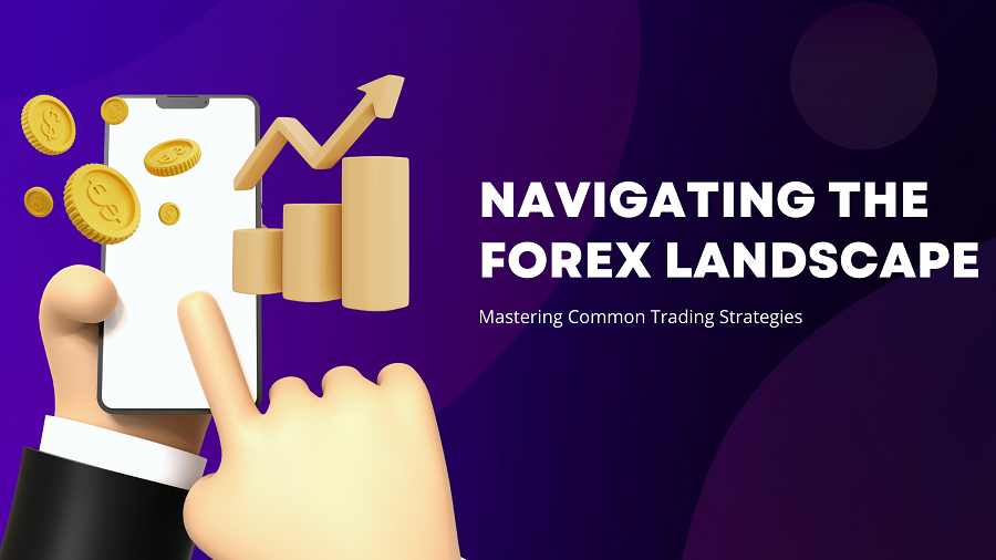 Business Insights: Navigating the Forex Landscape and Mastering Common ...